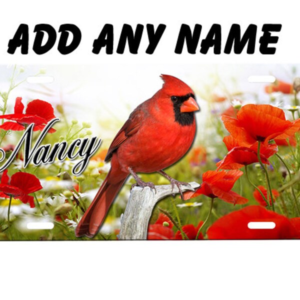 License Plate Bird Feeder - Etsy