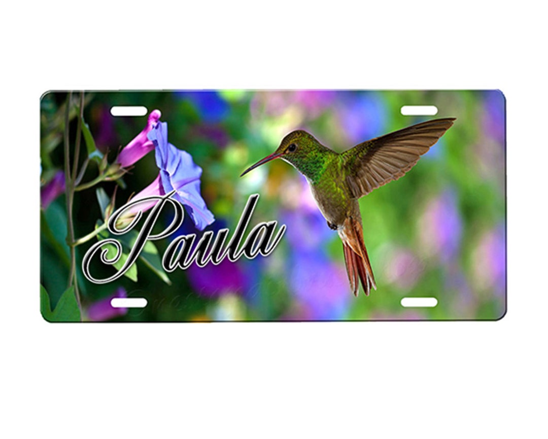 Hummingbird License Plate - Etsy