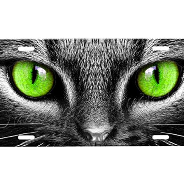 Cat Eyes License Plate Frame - Etsy Cat Eyes License Plate Frame - Etsy