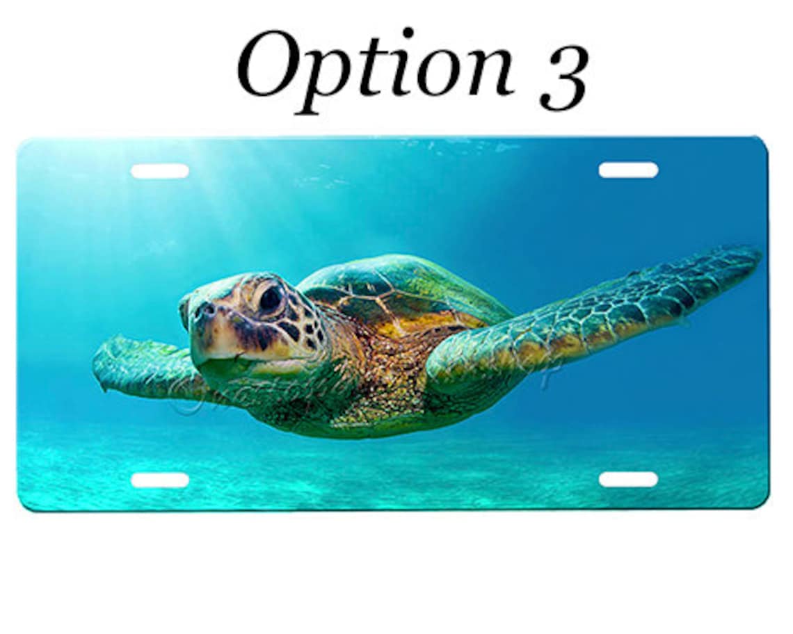 Sea Turtle License Plate | Etsy