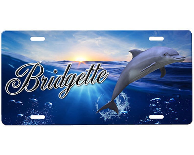 Dolphin Personalized License Plate With Custom Background Options - Etsy