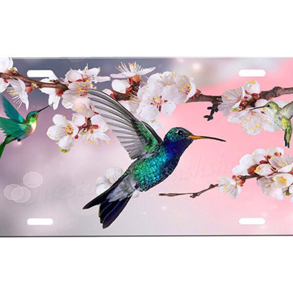 Hummingbird License Plate - Etsy