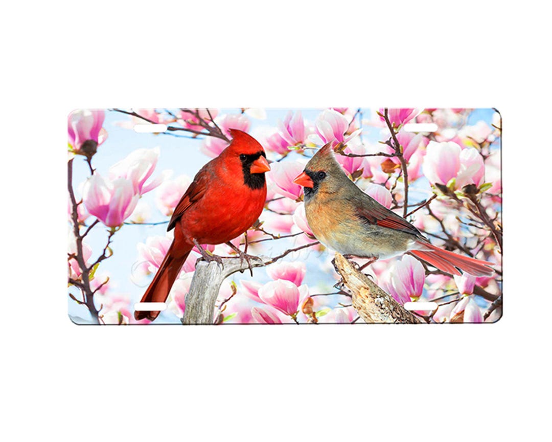 Cardinal Front License Plate With Custom Background Options - Etsy
