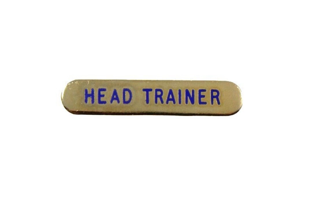 Vintage Head Trainer Pin, Head Trainer Badge, Blue Enamel School Badge ...