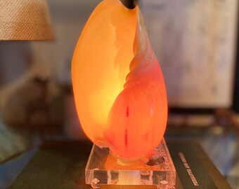 Amphora Table Lamp - Etsy
