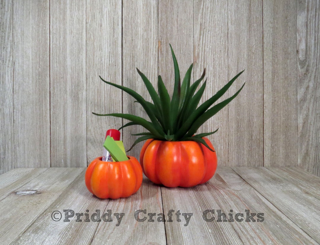 Pumpkin Plant Pots / 3.5 In. Pot / 2 In. Pot / Planter Pot / Pumpkins ...