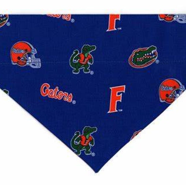 Florida Gator Dog - Etsy