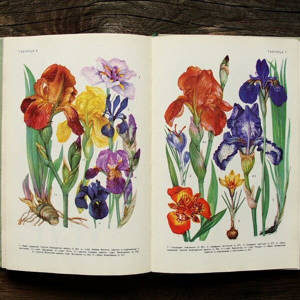 Vintage Flower Book - Etsy