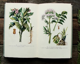 Vintage Illustrated Botanical Book Vintage Plant - Etsy