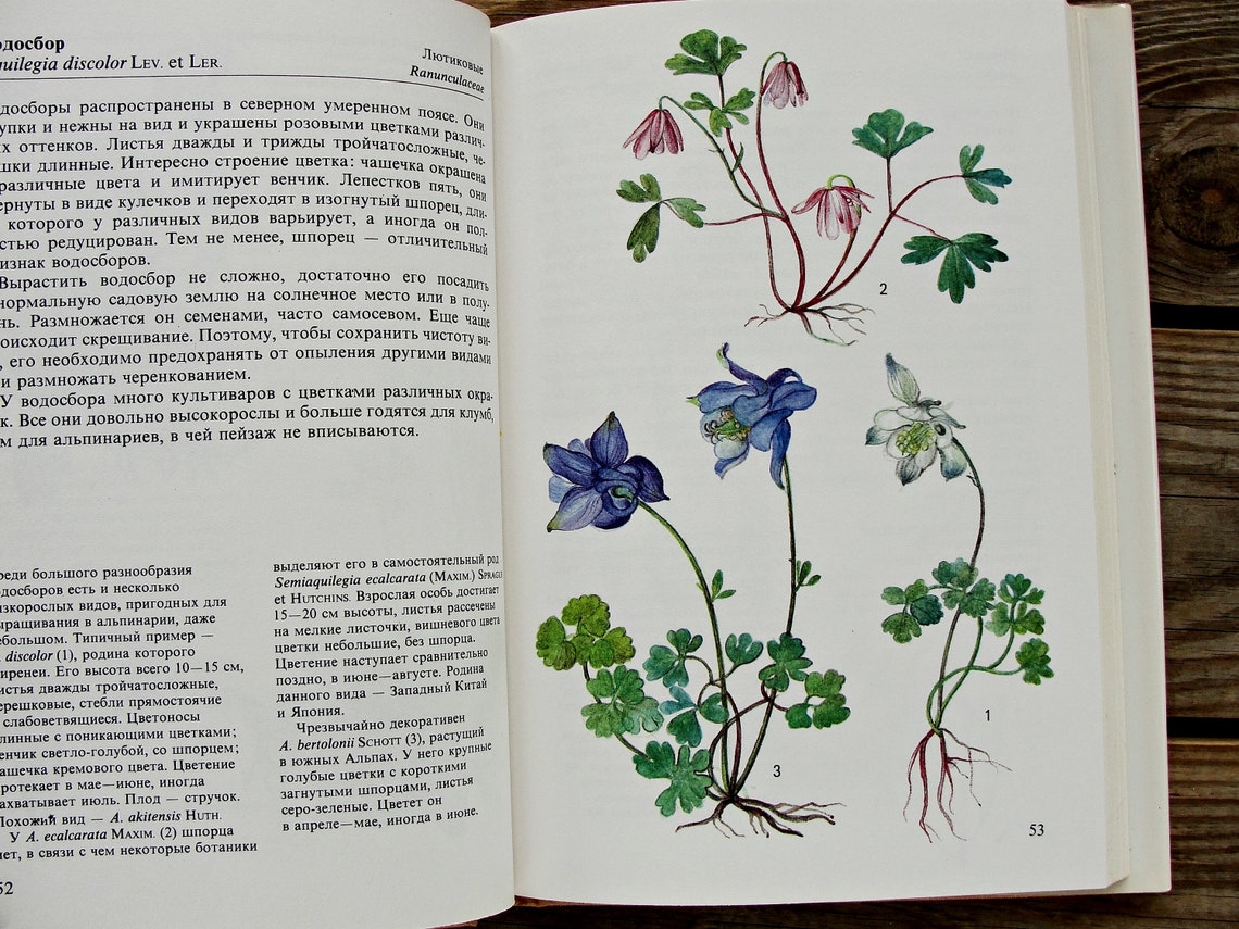 Libro de flores de jardín libro botánico vintage 1989 guía | Etsy