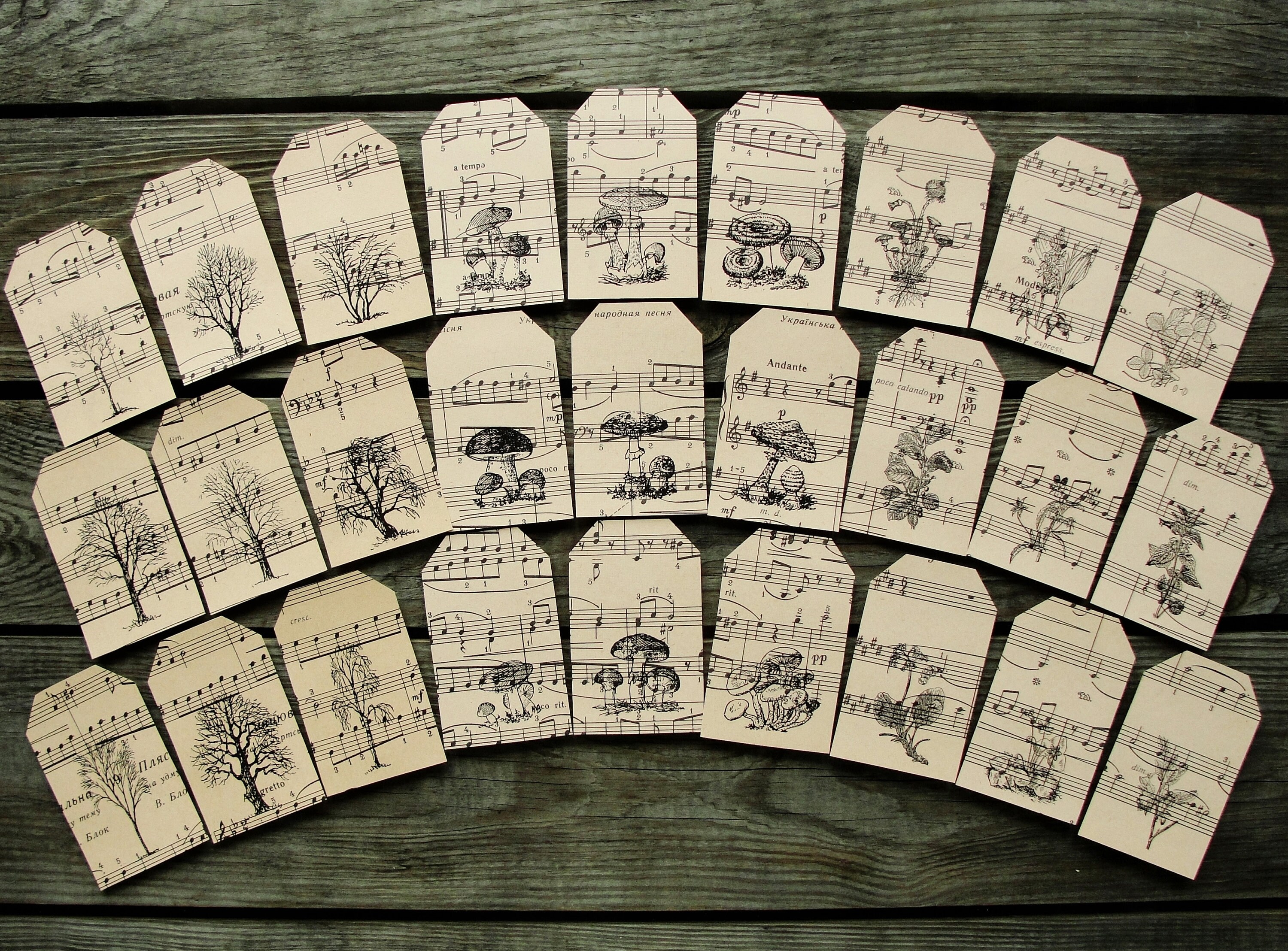 Handmade Botanical Tags Set of 27 Wild Forest Healing Herbs | Etsy