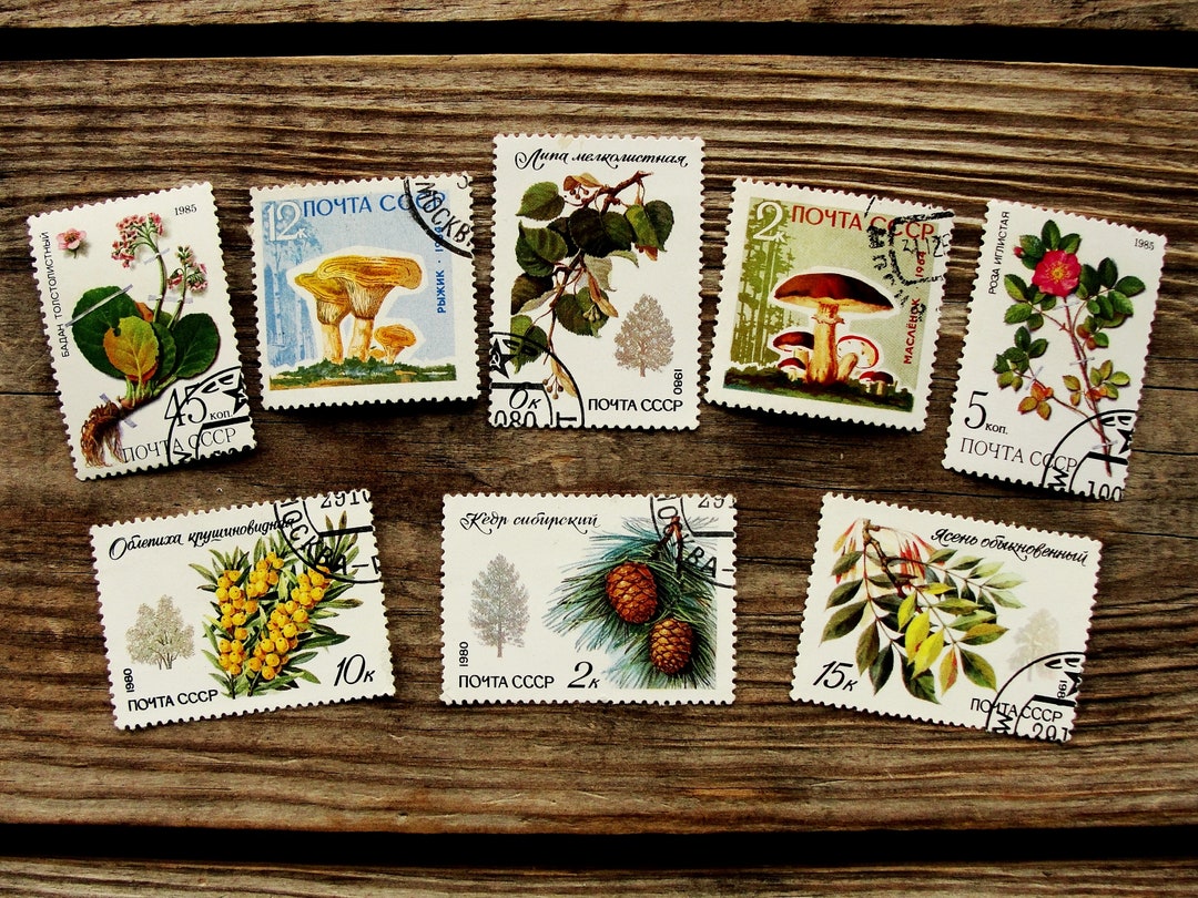 Wild Flower, Tree, Mushroom Postage Stamps, Set 8 Vintage Botanical ...