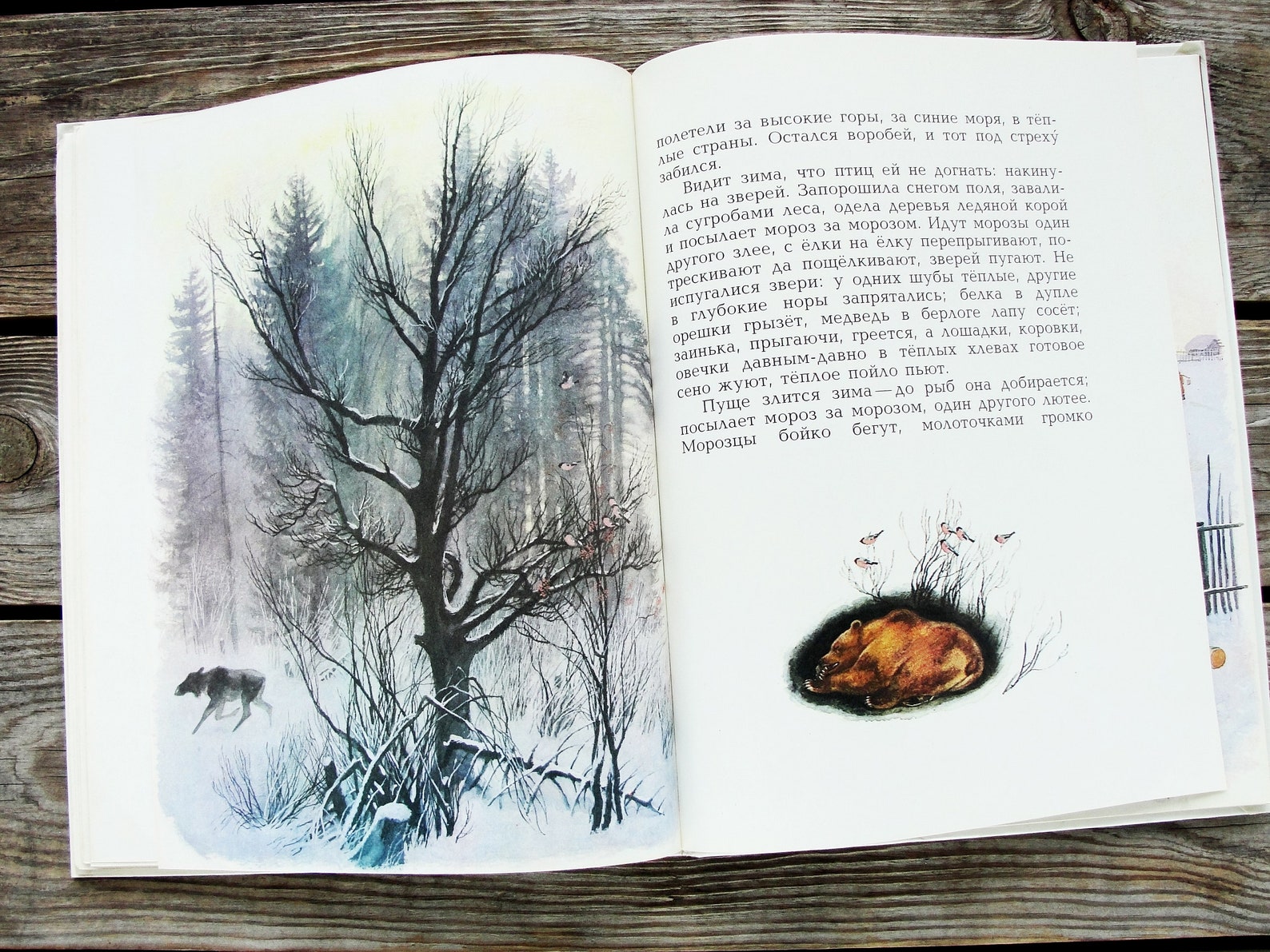 Children Tales by Konstantin Ushinsky With Illustrations by Nikolay ...