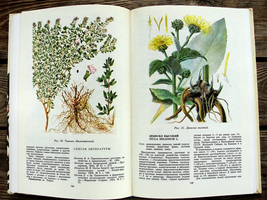 Medicinal Plants Guide Book, Vintage Illustrated Botanical Book, 1982 ...