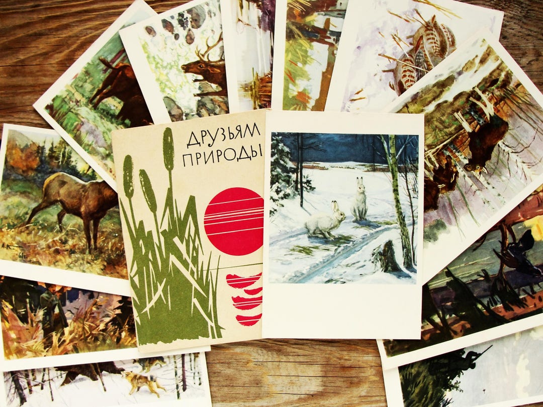 Wild Animal Paintings, Vintage Postcards Set of 12, 1962, Nature ...