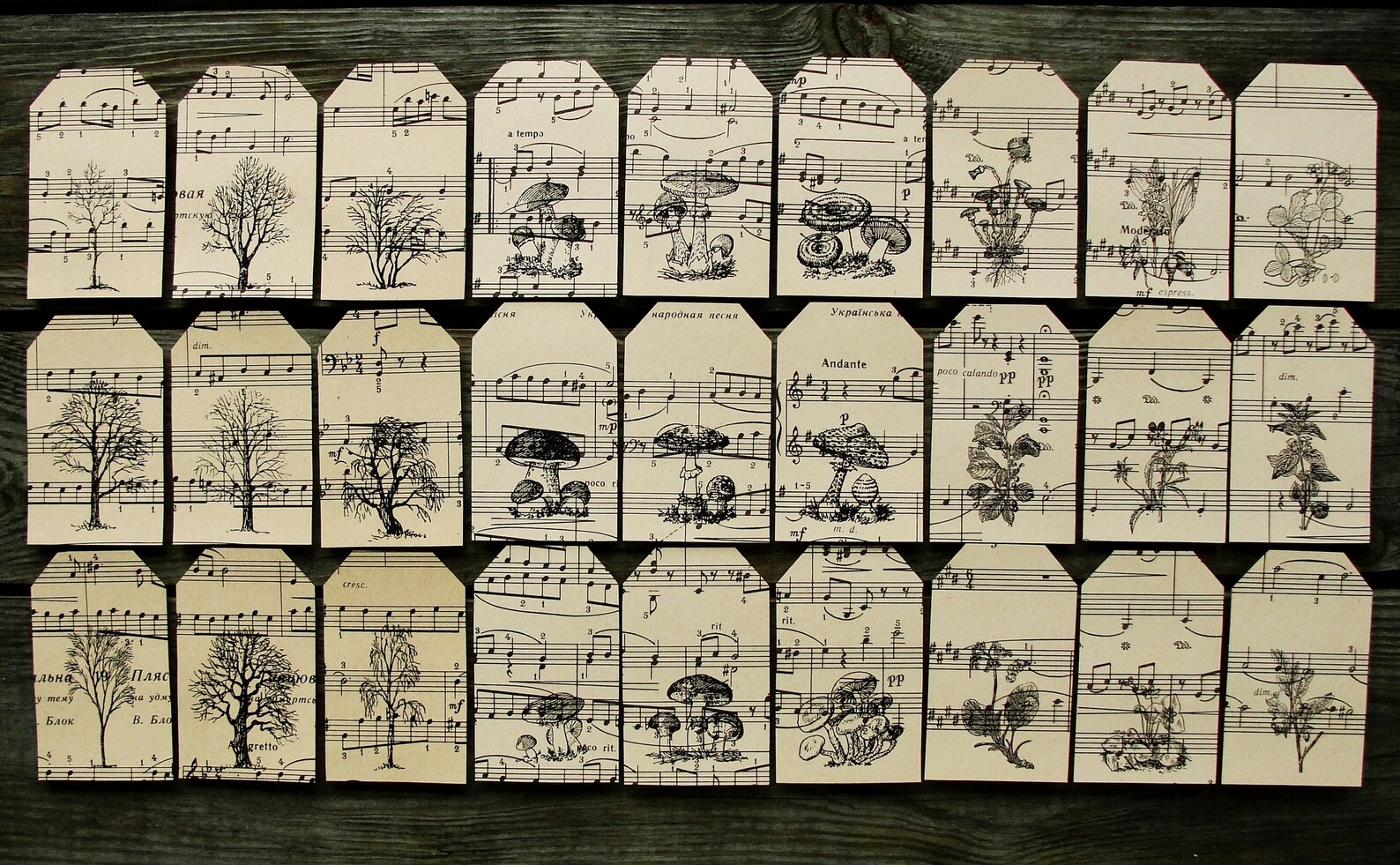 Handmade Botanical Tags Set of 27 Wild Forest Healing Herbs | Etsy