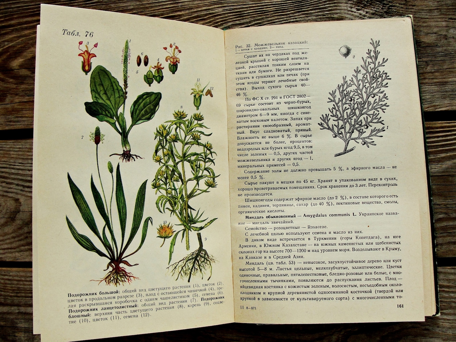 Healing Herbs Guide Book Vintage Illustrated Botanical Book | Etsy