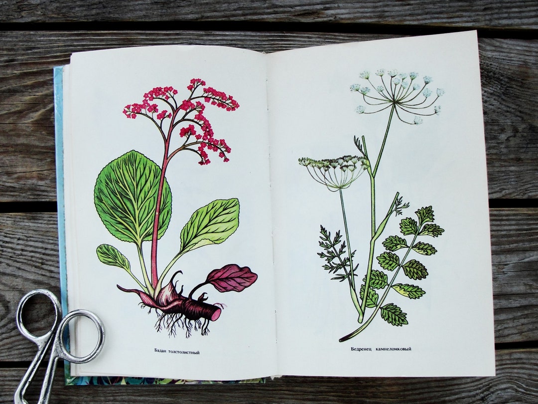 Medicinal Plants Guide Book, Vintage Botanical Book in Russian, 1993 ...