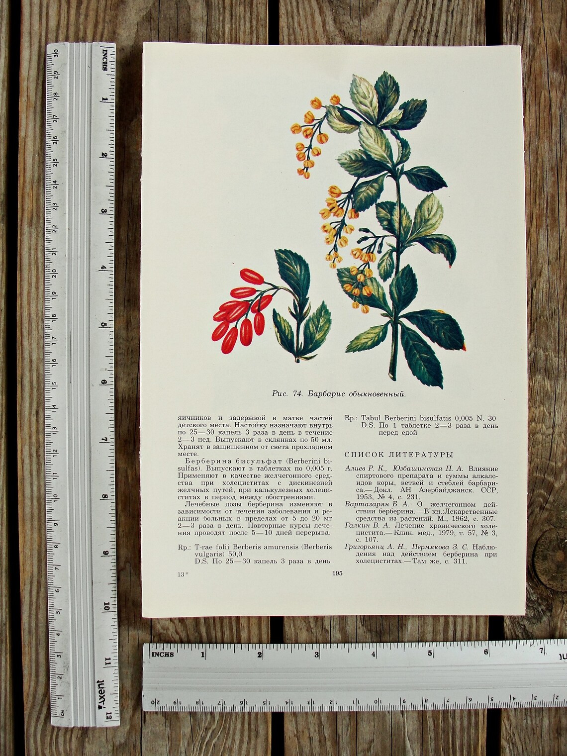Vintage Wildflower Art Print Set of 28 Big Botanical Book - Etsy UK