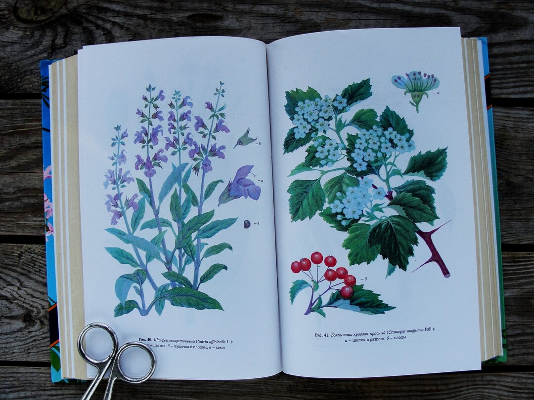 Medicinal Plants Guide Book Vintage Botanical Book in - Etsy