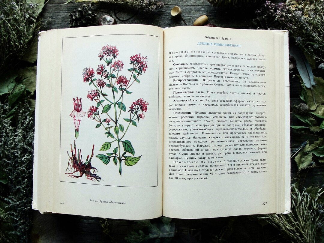 Vintage Illustrated Botanical Book 1992, Healing Herb Book, Wildflower ...