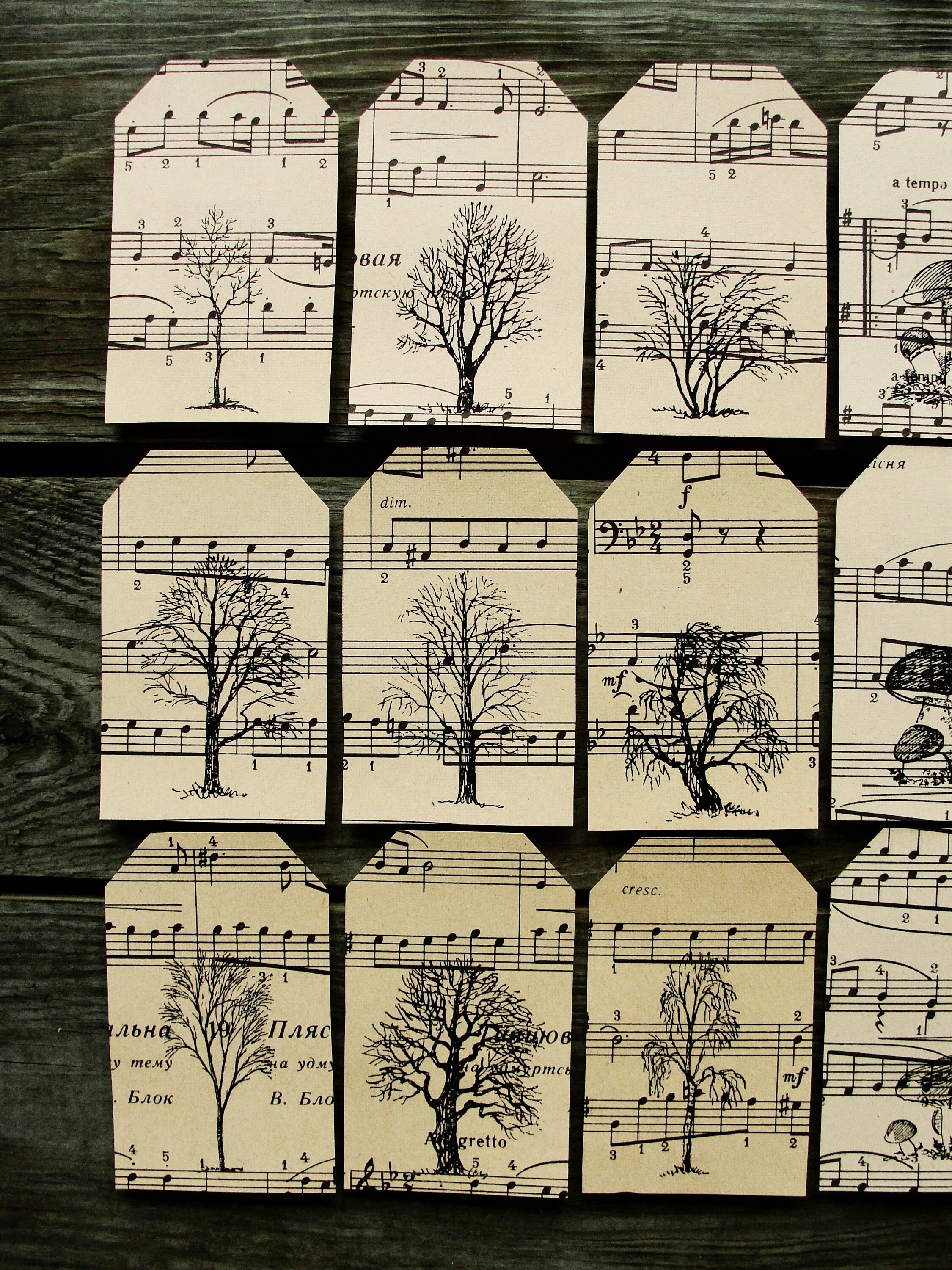 Handmade Botanical Tags Set of 27 Wild Forest Healing Herbs | Etsy