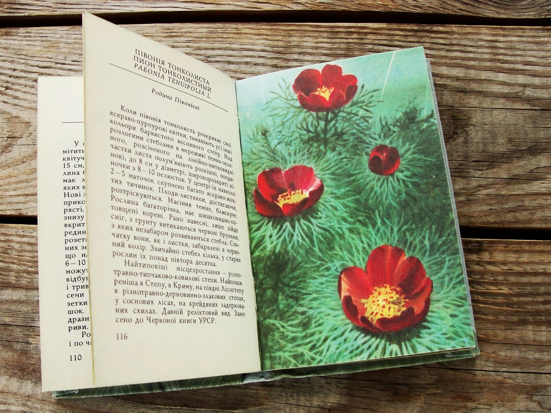 Spring Plants Mini Book, Vintage Botanical Book, 1987, Wild Flower ...