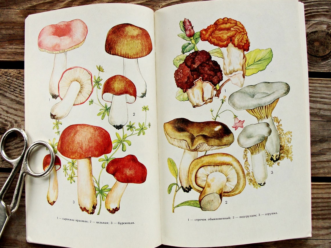 Mushroom Book Vintage Botanical Book 1988 Mushroom Guide | Etsy