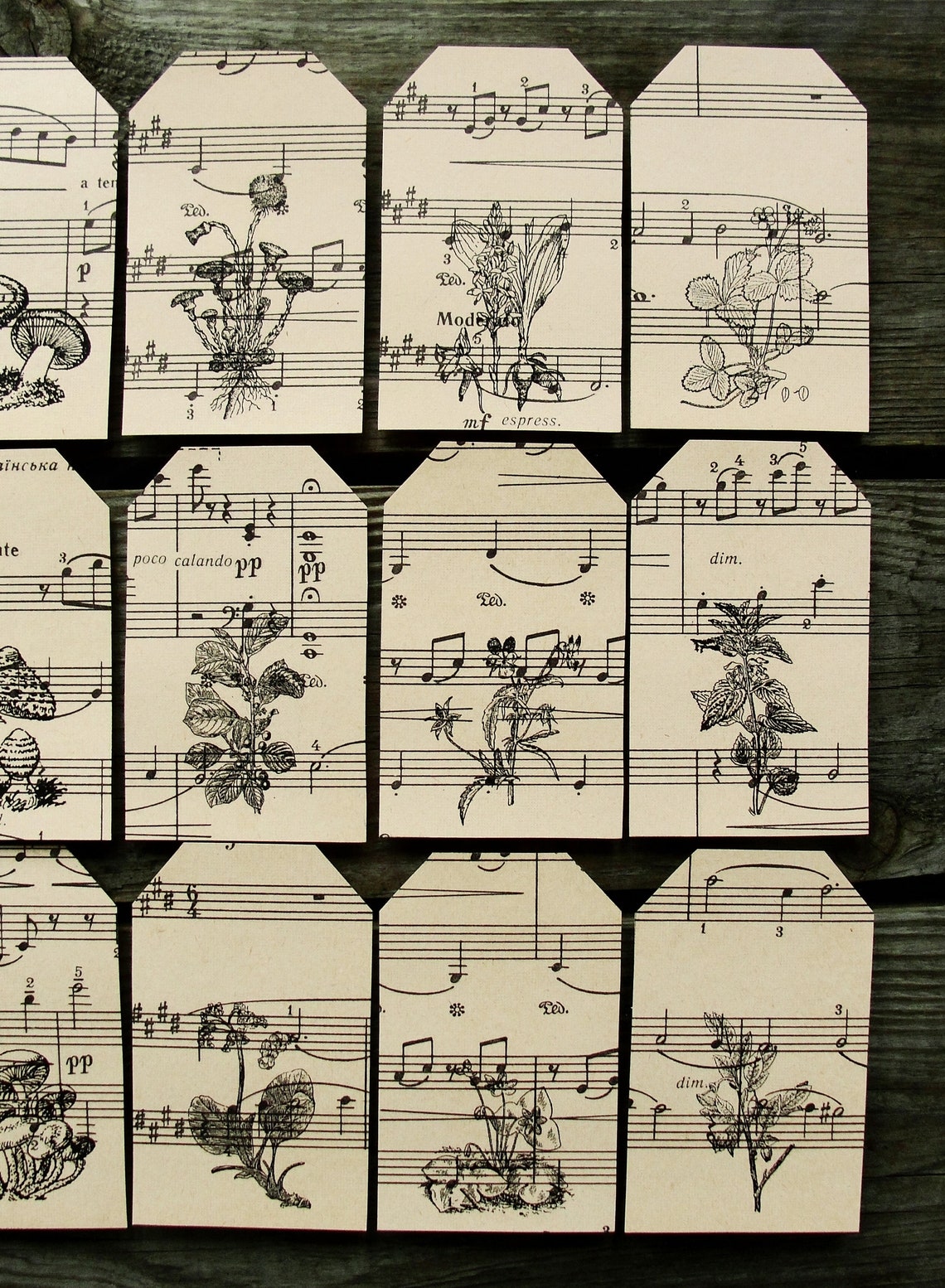 Handmade Botanical Tags Set of 27 Wild Forest Healing Herbs | Etsy