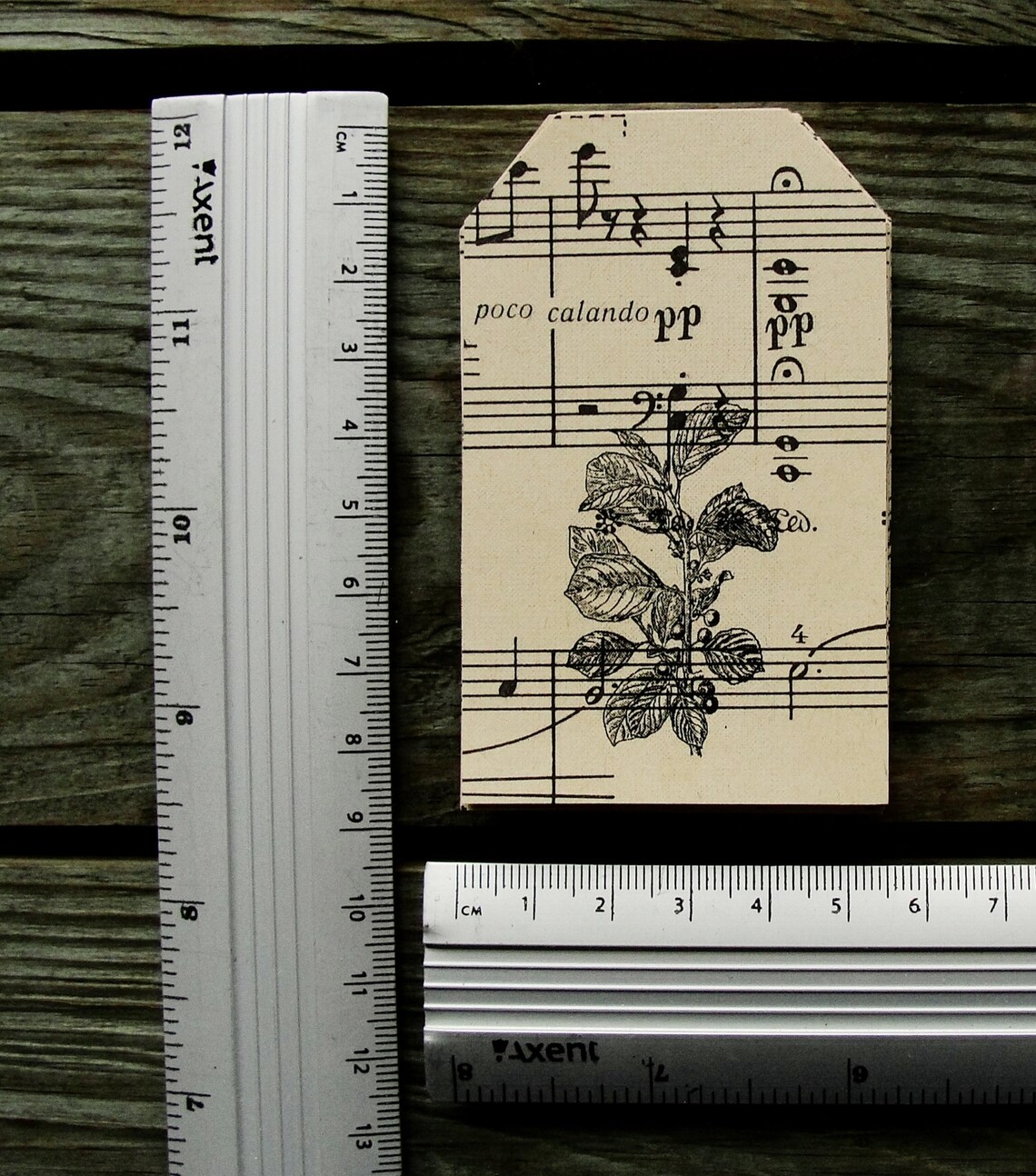 Handmade Botanical Tags Set of 27 Wild Forest Healing Herbs | Etsy