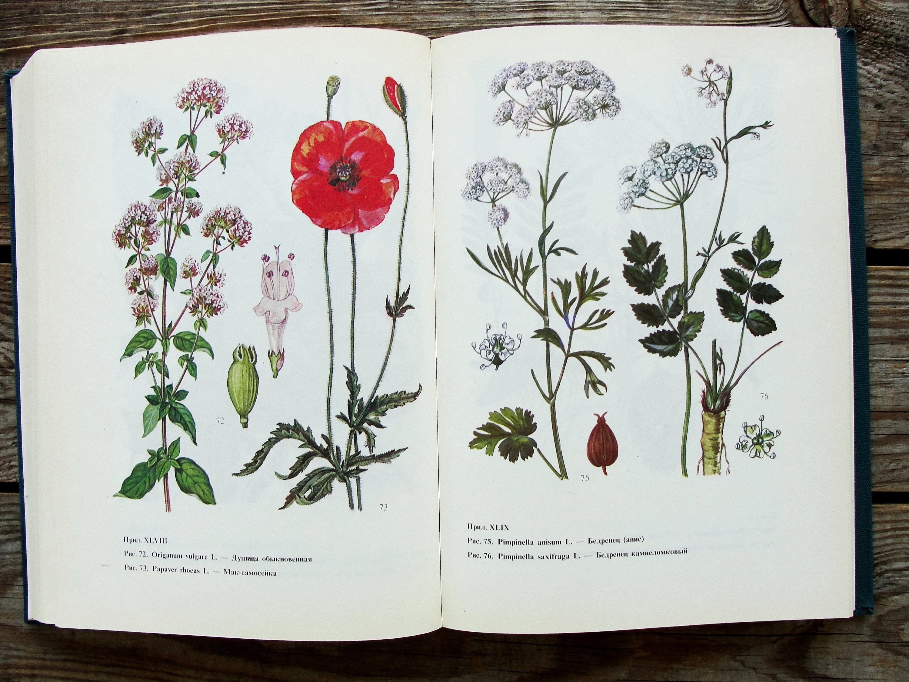 Medicinal Plants Guide Book Vintage Botanical Book 1988 | Etsy