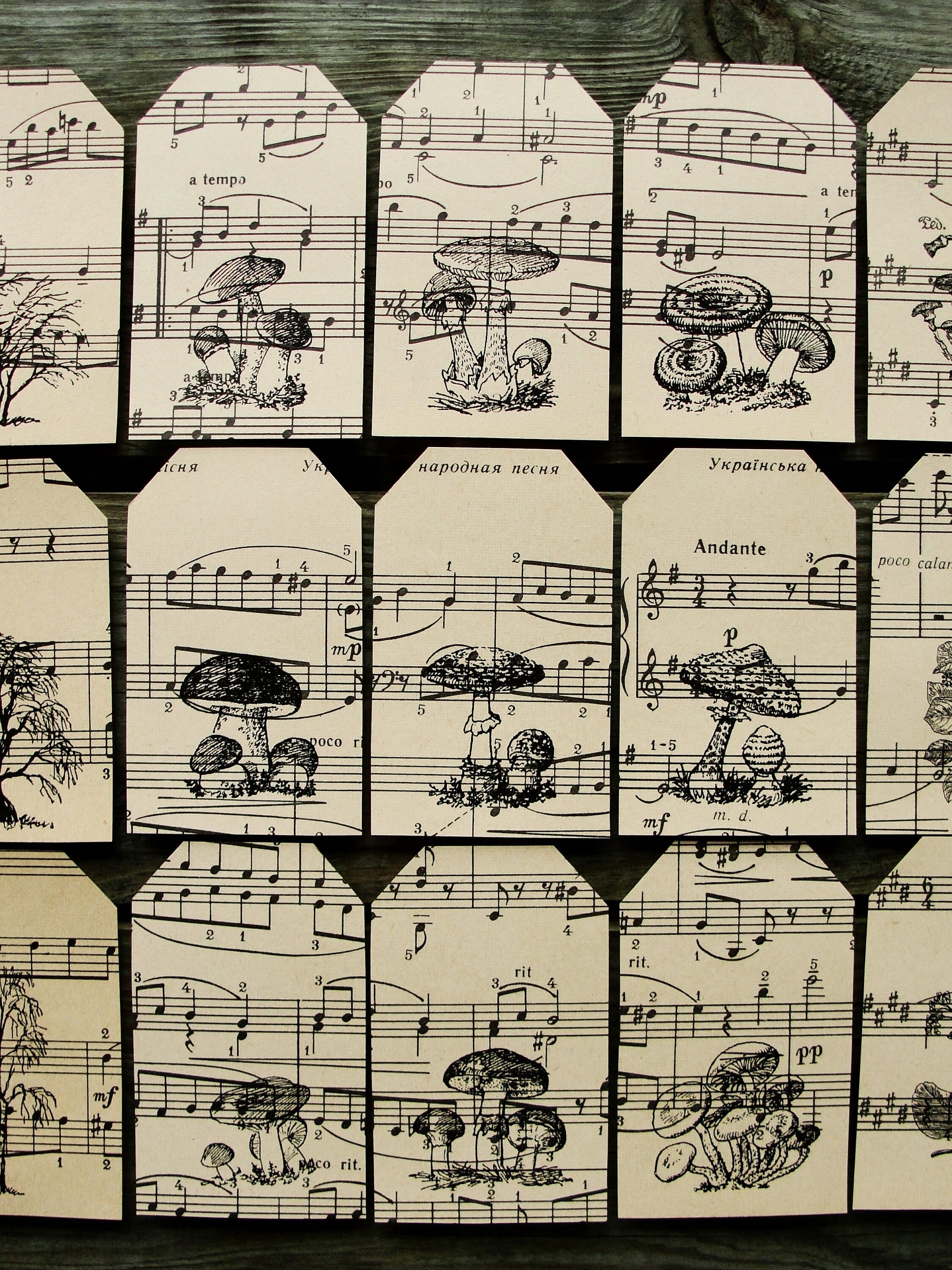 Handmade Botanical Tags Set of 27 Wild Forest Healing Herbs | Etsy