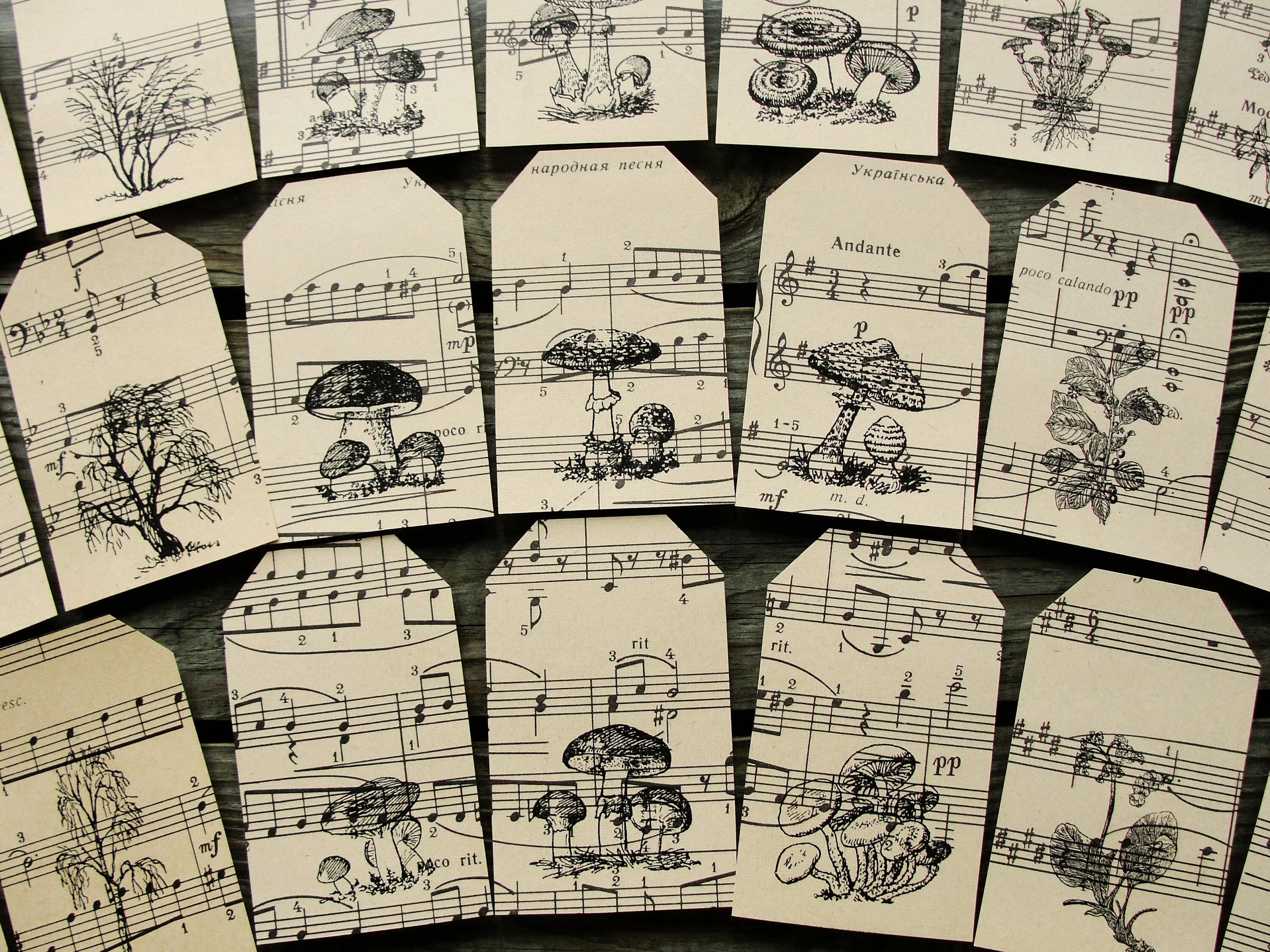 Handmade Botanical Tags Set of 27 Wild Forest Healing Herbs | Etsy