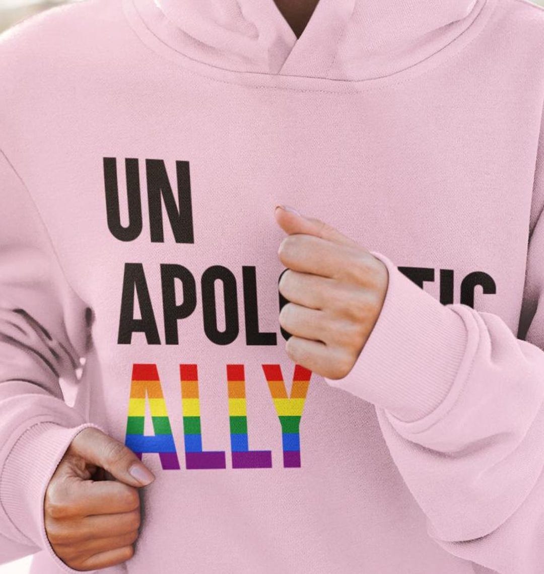 ALLY Pride Equality Hoodie, LGBT Support Gift, Unisex Sweatshirt, LGBTQ ...