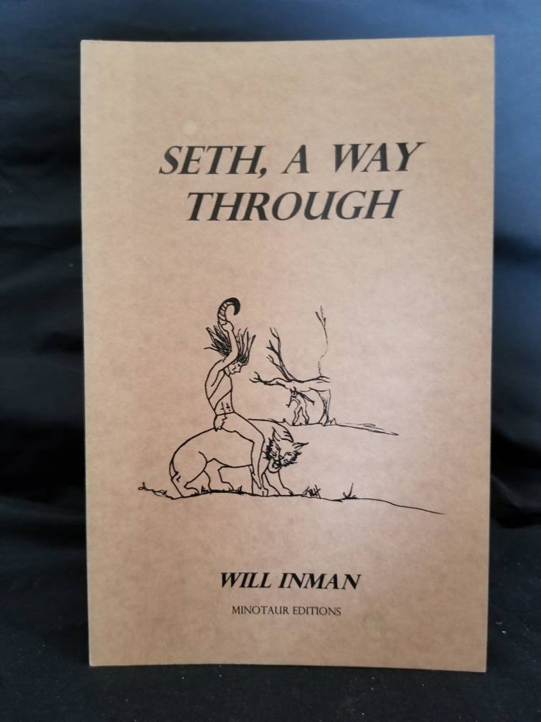 Seth, A Way Through by Will Inman 2001 Minotaur editions SIGNED - Etsy.de
