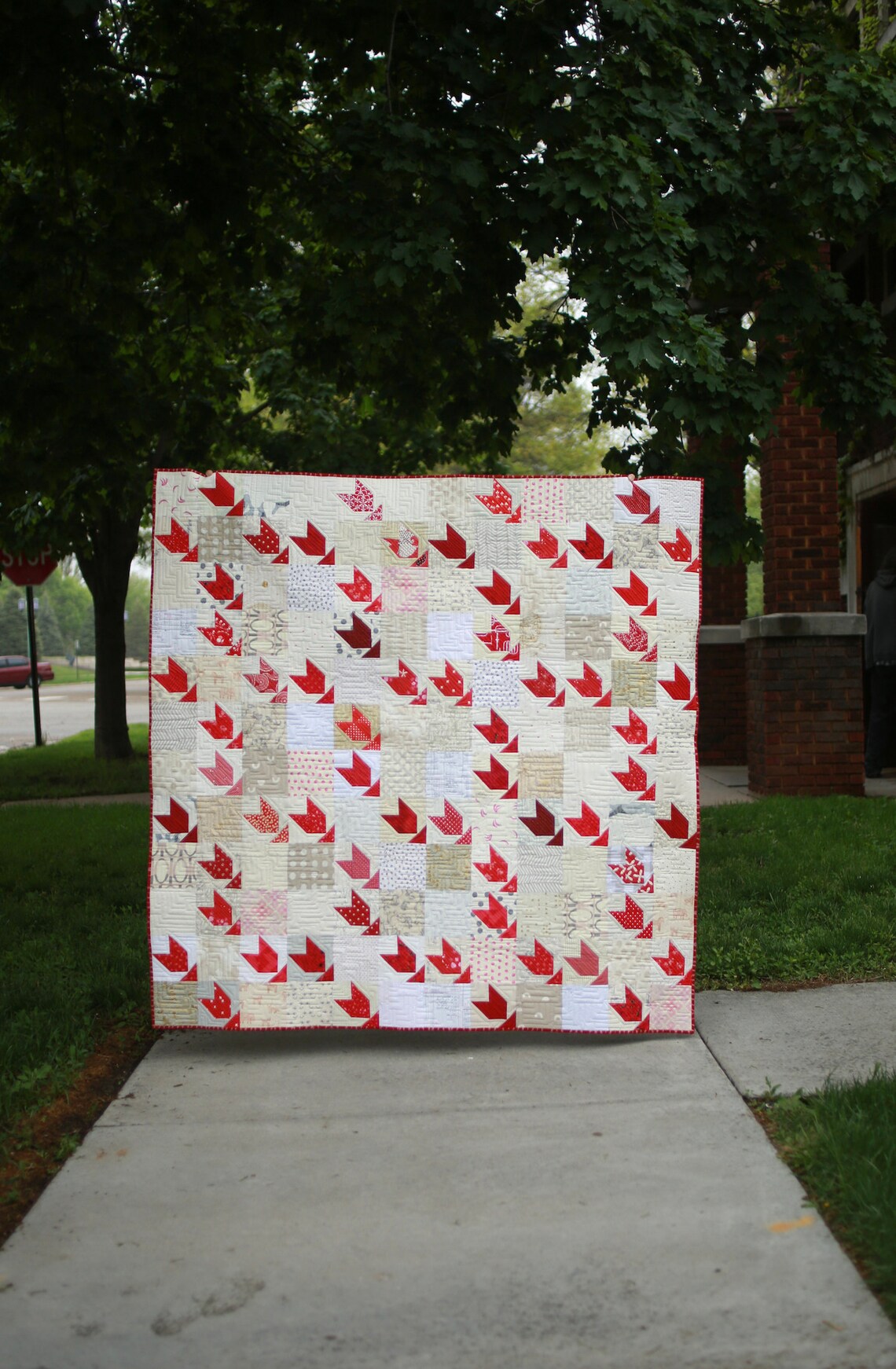 Cupidity Throw Quilt Pattern - Etsy