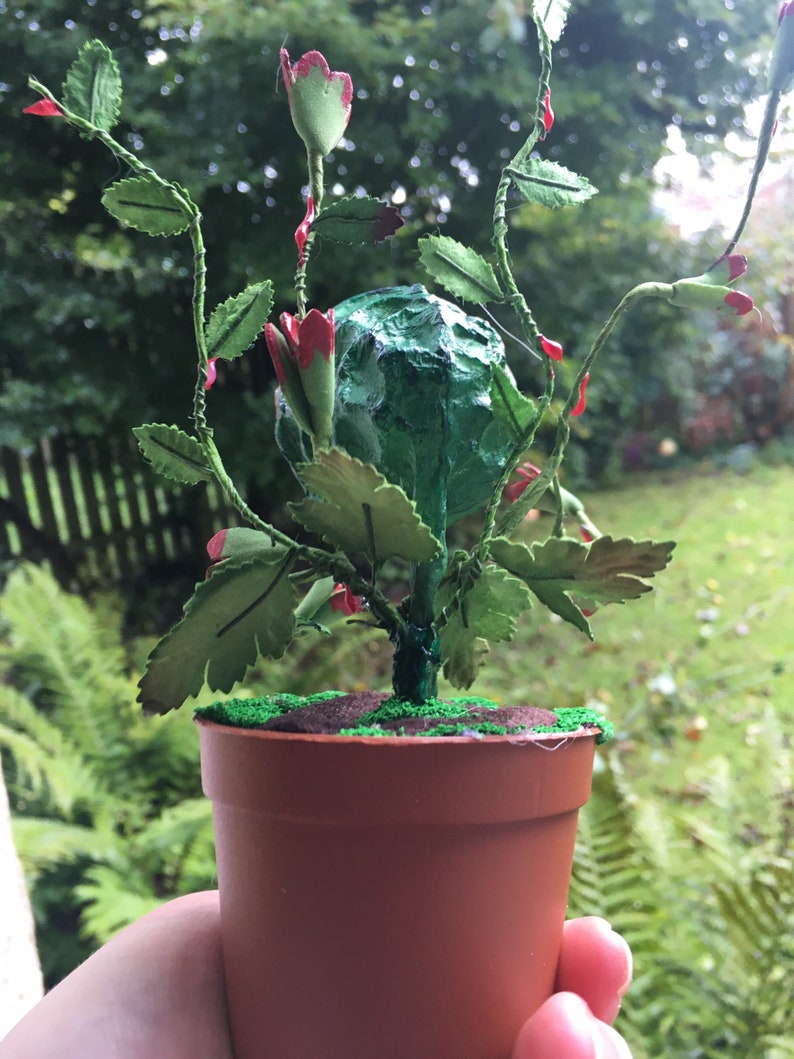 Horror Pot Plant Vampire Personalised Scary Halloween Detailed - Etsy UK