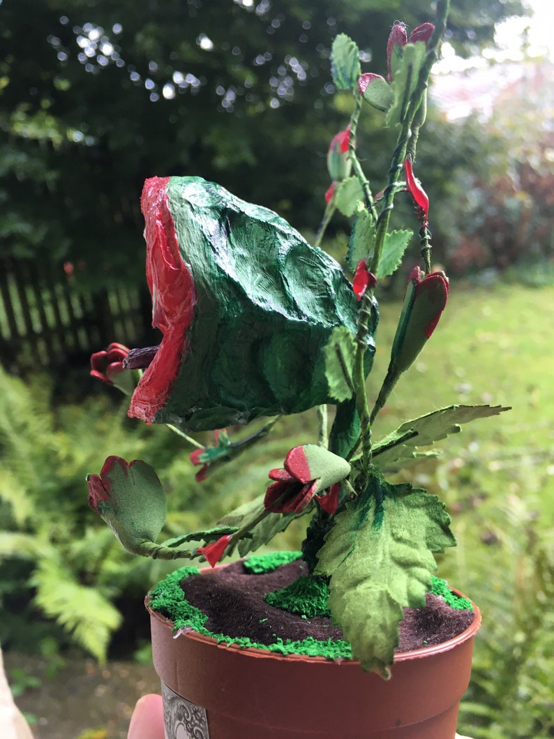 Horror Pot Plant Vampire Personalised Scary Halloween Detailed - Etsy UK