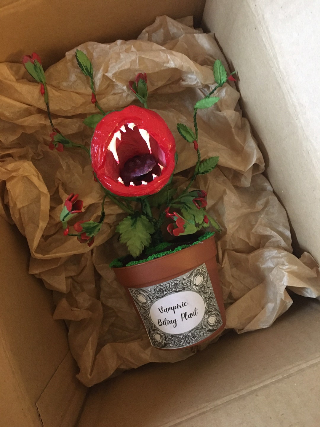 Horror Pot Plant Vampire Personalised Scary Halloween Detailed - Etsy UK