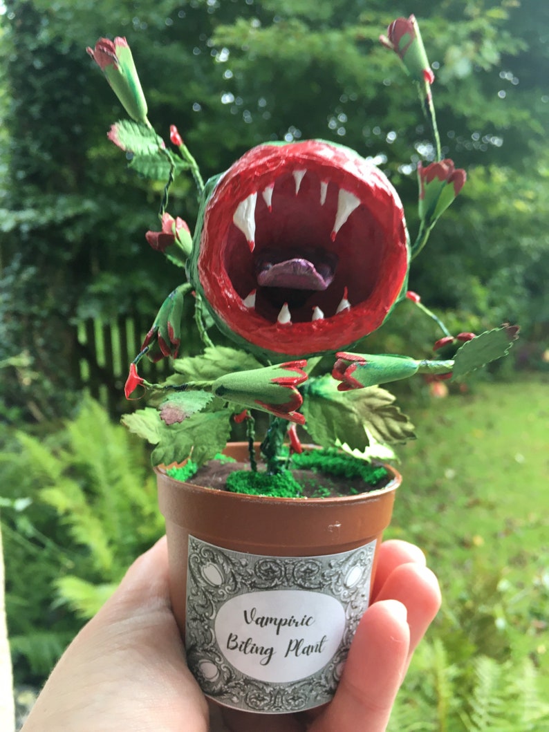 Horror Pot Plant Vampire Personalised Scary Halloween Detailed - Etsy UK