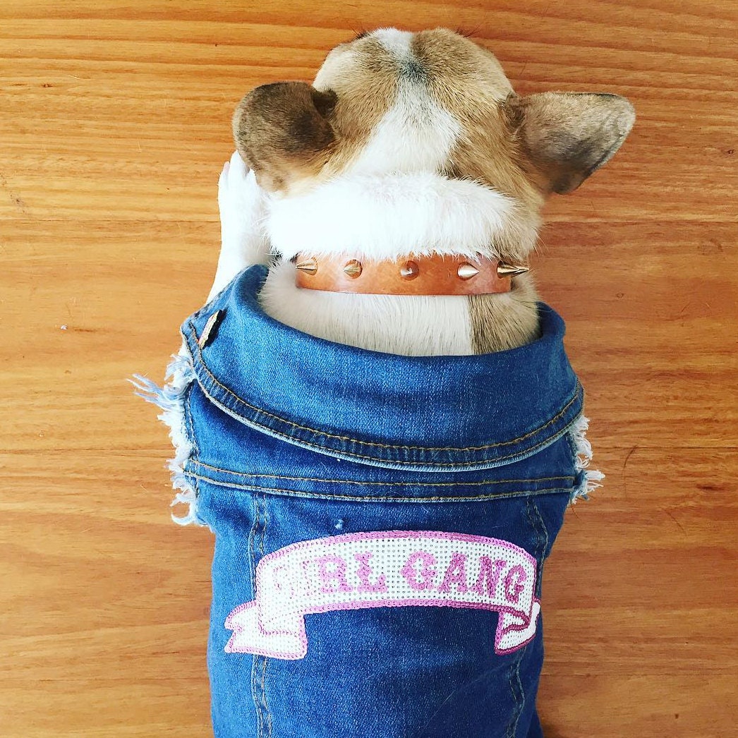 Denim Dog Vest / Denim Dog Jacket / Dog Vest / Feminist Patch / Dog ...