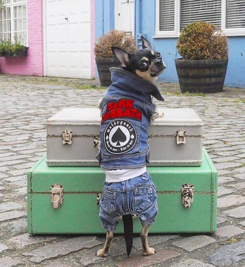 Denim Dog Jacket / Denim Dog Vest / Dog Jacket / Dog Vest / Dog Coat ...