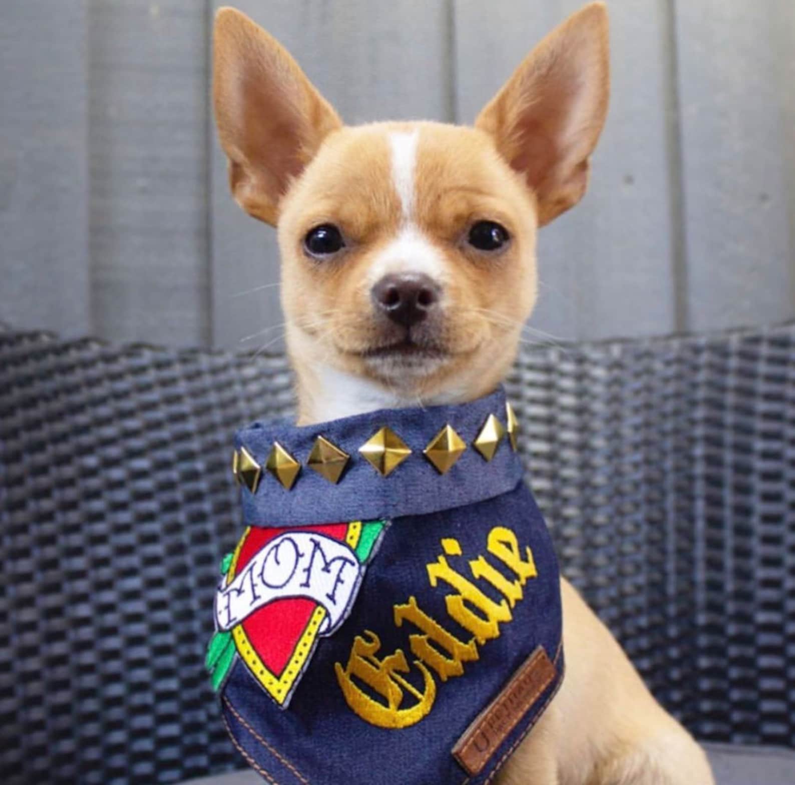 Custom Dog Bandana / Personalized Dog Bandana / Denim Dog Bandana ...