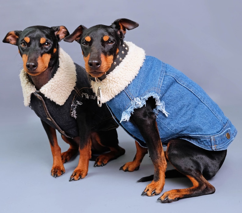 Denim Dog Vest / Dog Jacket / Sherpa Denim Dog Coat / Dog - Etsy