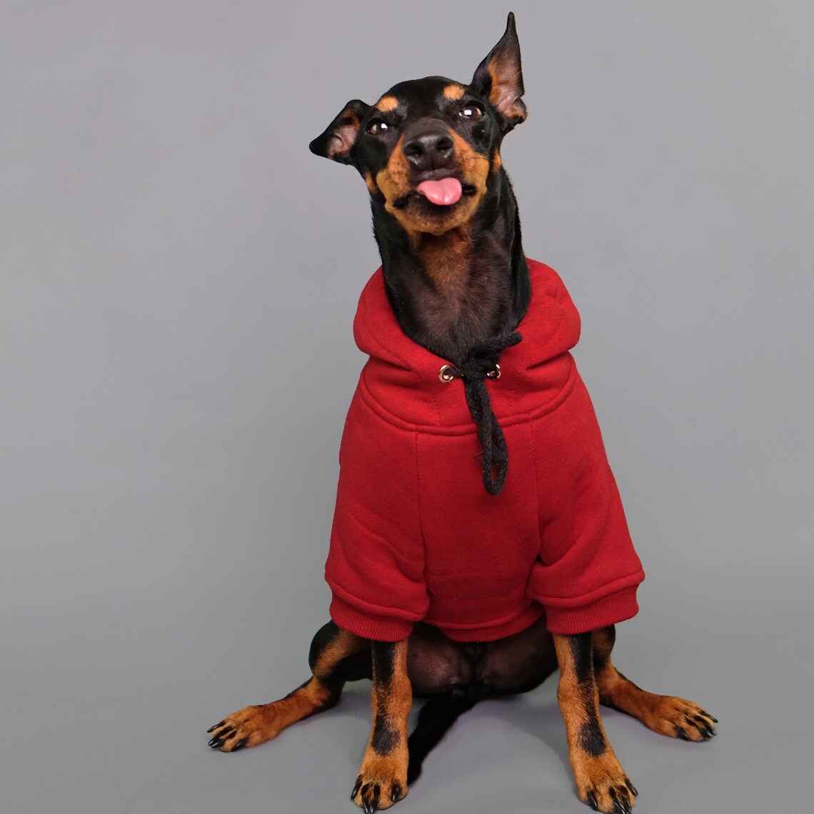 Red Dog Hoodie, Dog Hoodie, Large Dog Hoodie, Dog Sweatshirt, Small Dog ...