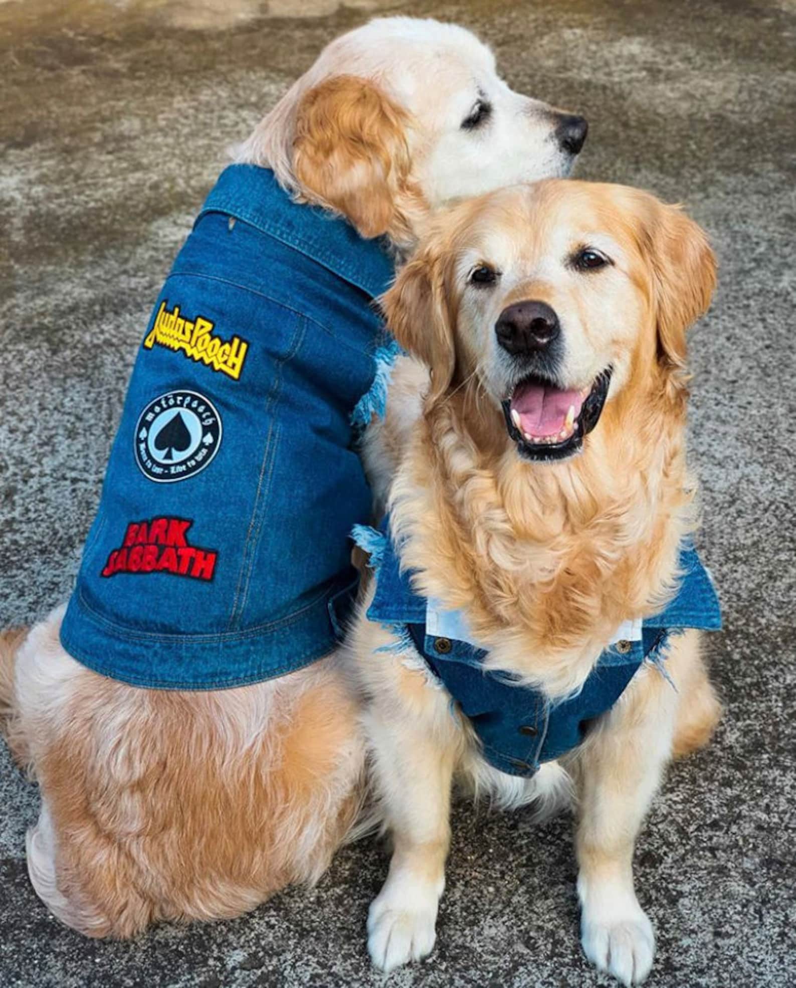 Denim Dog Jacket / Denim Dog Vest / Dog Jacket / Dog Vest / Dog Coat ...