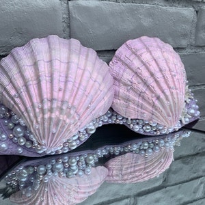 Kylie Mermaid Halloween Costume Bra Only Real Seashells - Etsy