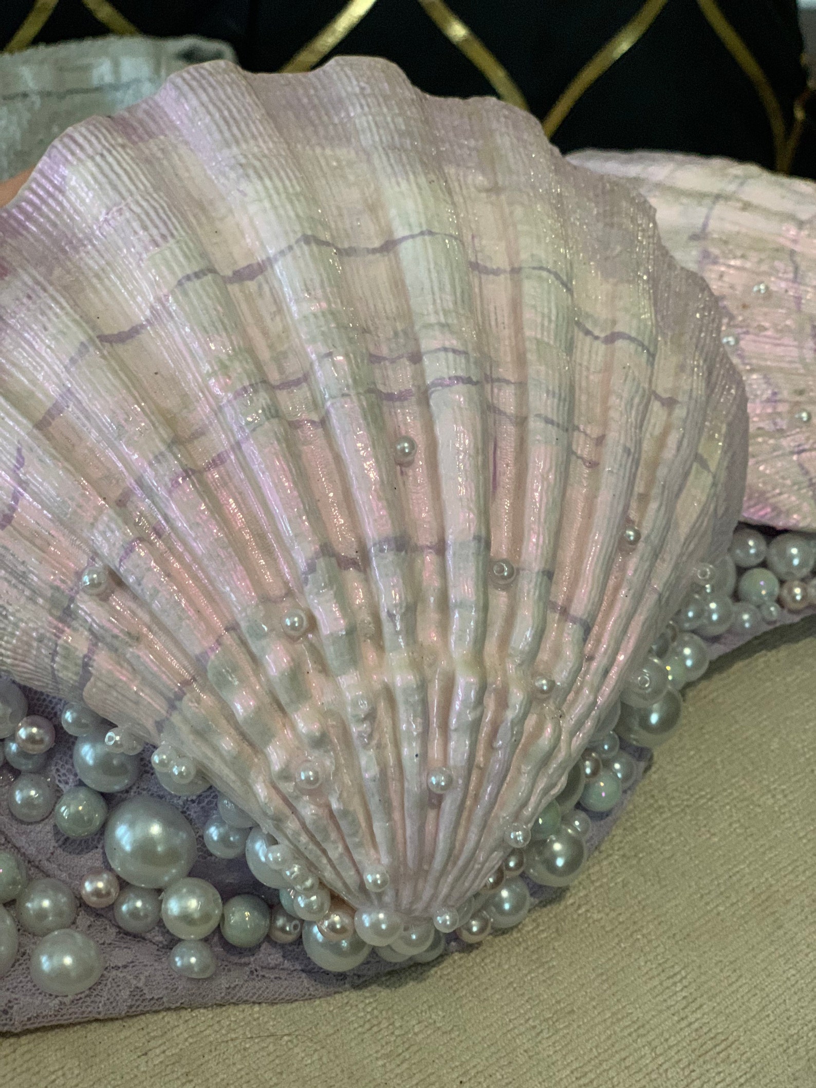 Kylie Mermaid Halloween Costume Bra Only Real Seashells | Etsy