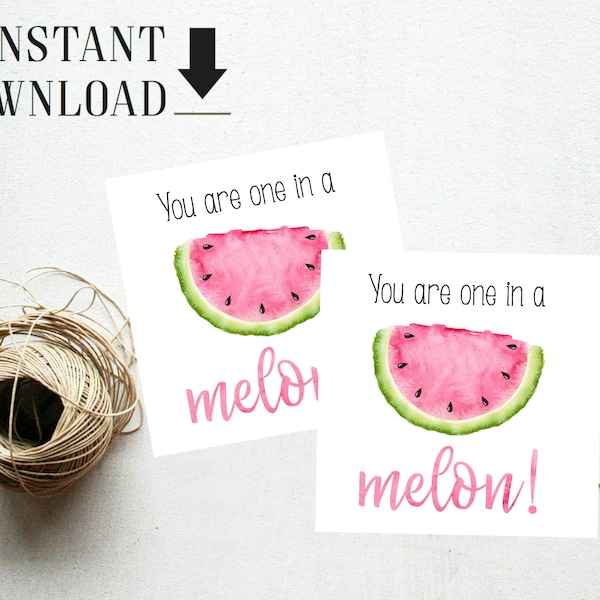 One in a Melon First Birthday - Etsy
