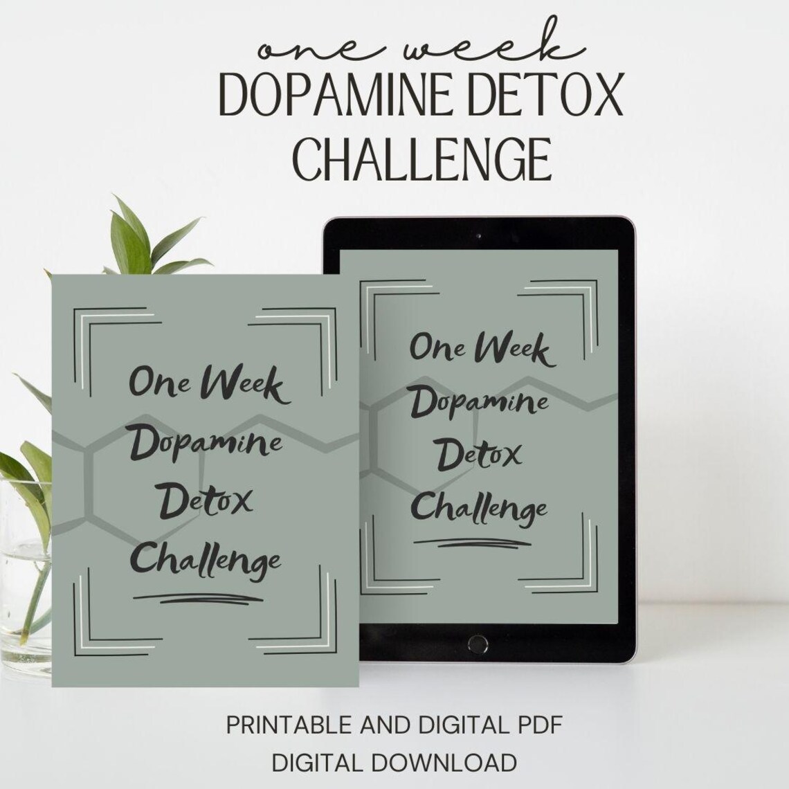 One Week Dopamine Detox Challenge - Instant Download - Digital ...